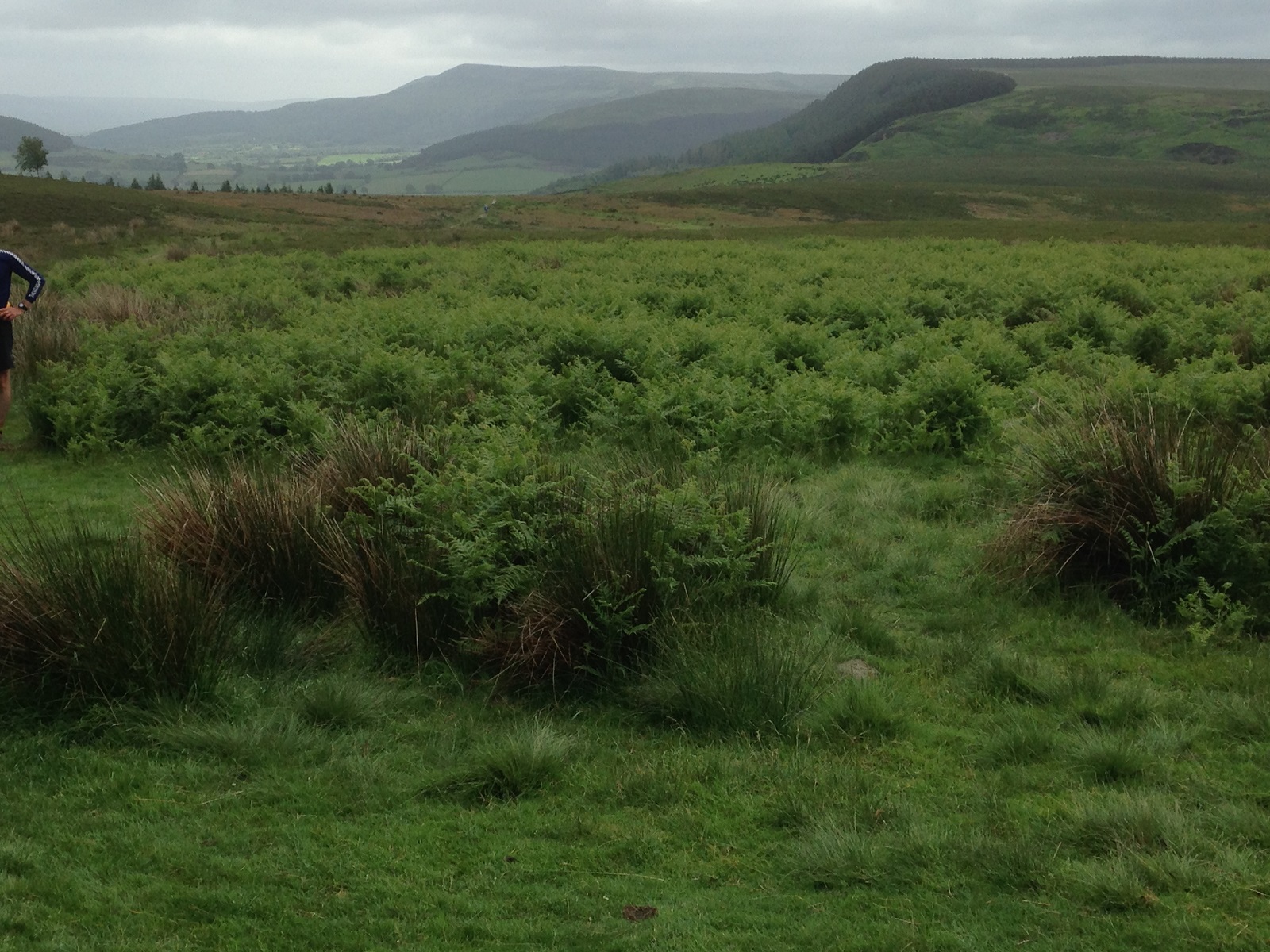 View along the escarpment from Scarth Wood Moor | Woodcockwalkers
